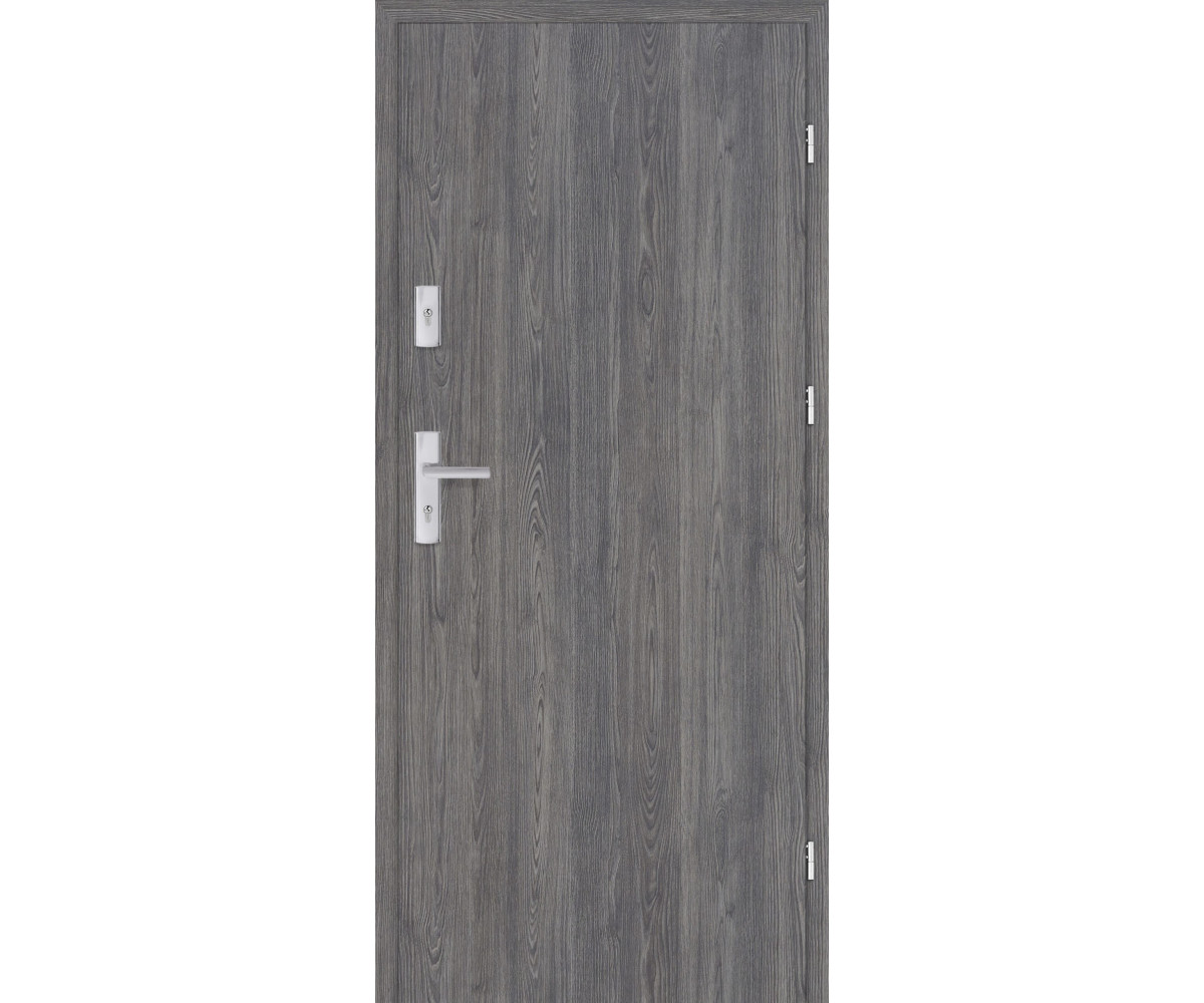 Durvis | Piegāde visā Latvijā - Buvseta.lv